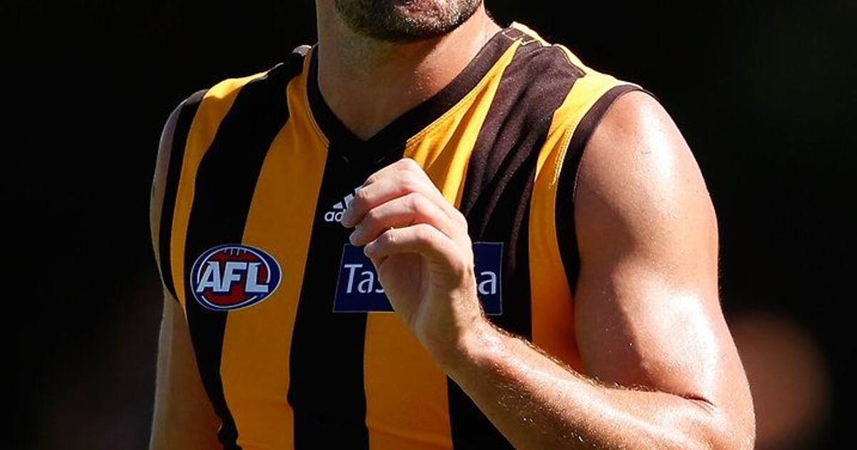 Hawk Hodge holds firm in VFL cameo