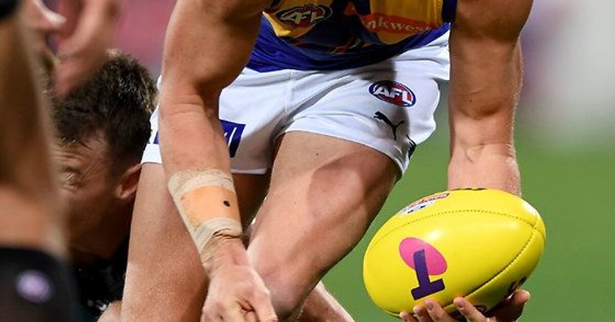 Gun Giant extends his stay until 2020