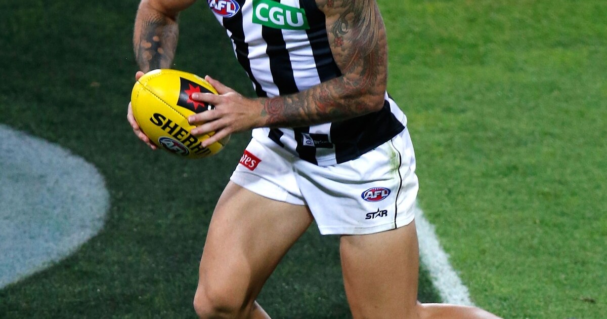 Magpie Elliott to string it out all season