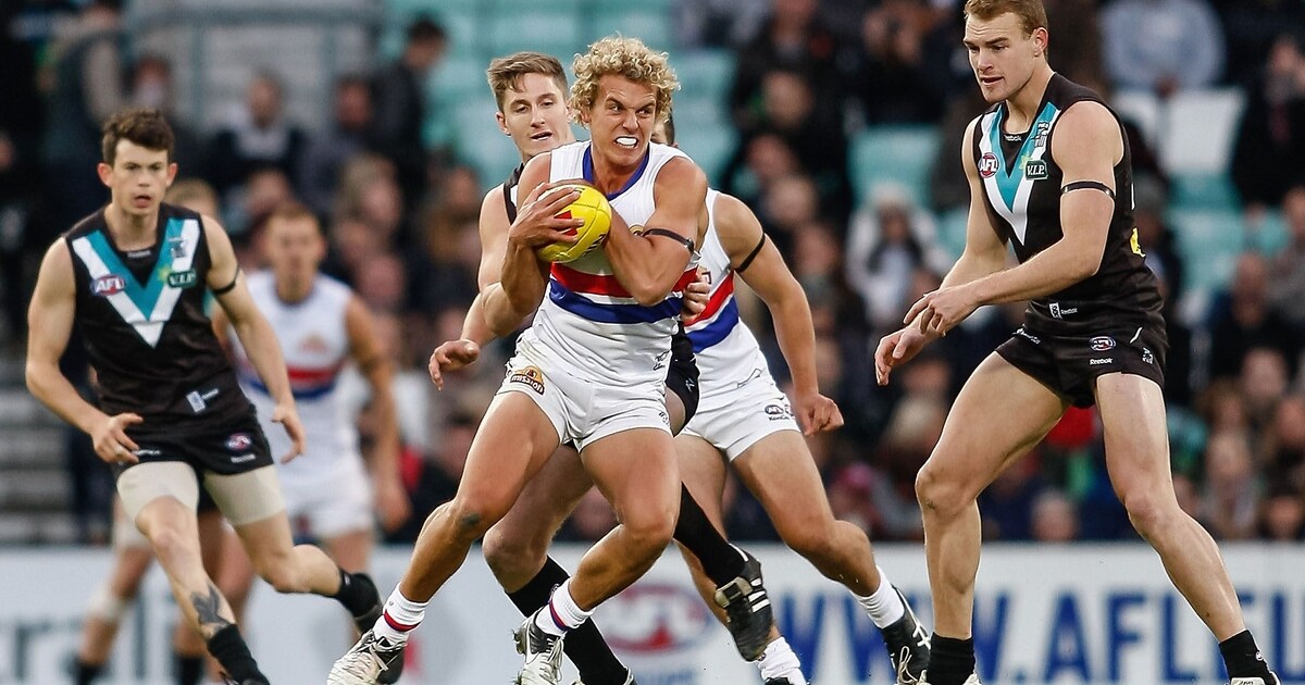 On the rise: Mitch Wallis