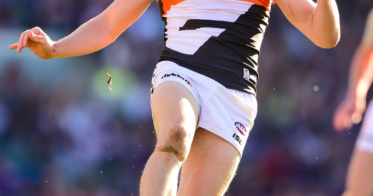 Get to know: New Tiger Jacob Townsend