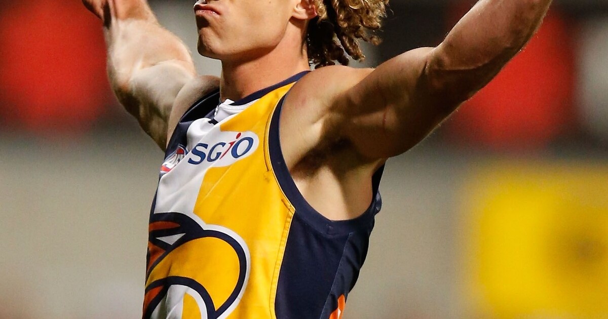 From rookie to role model, Matt Priddis' fantastic journey