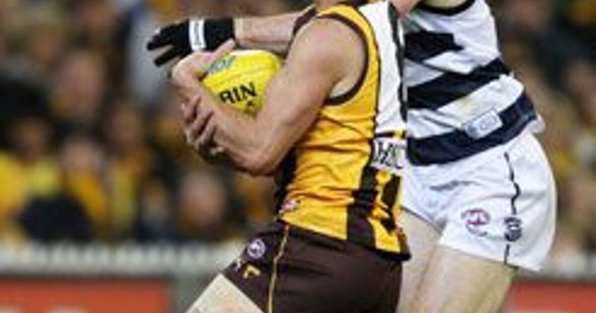 Brave Hawks fall to Cats in a thriller