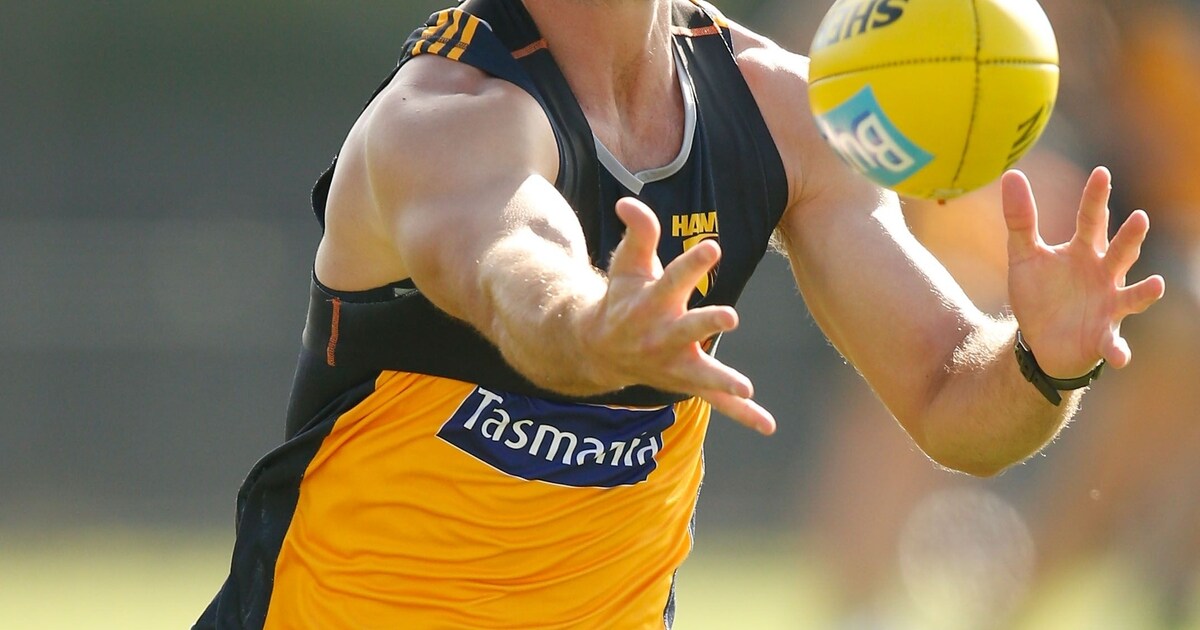 Brendan Whitecross set to return in VFL this weekend