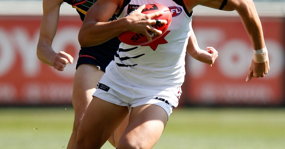 Cockatoo flying as draft nears