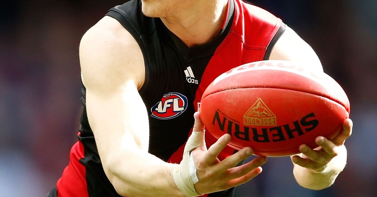 Season review: Essendon