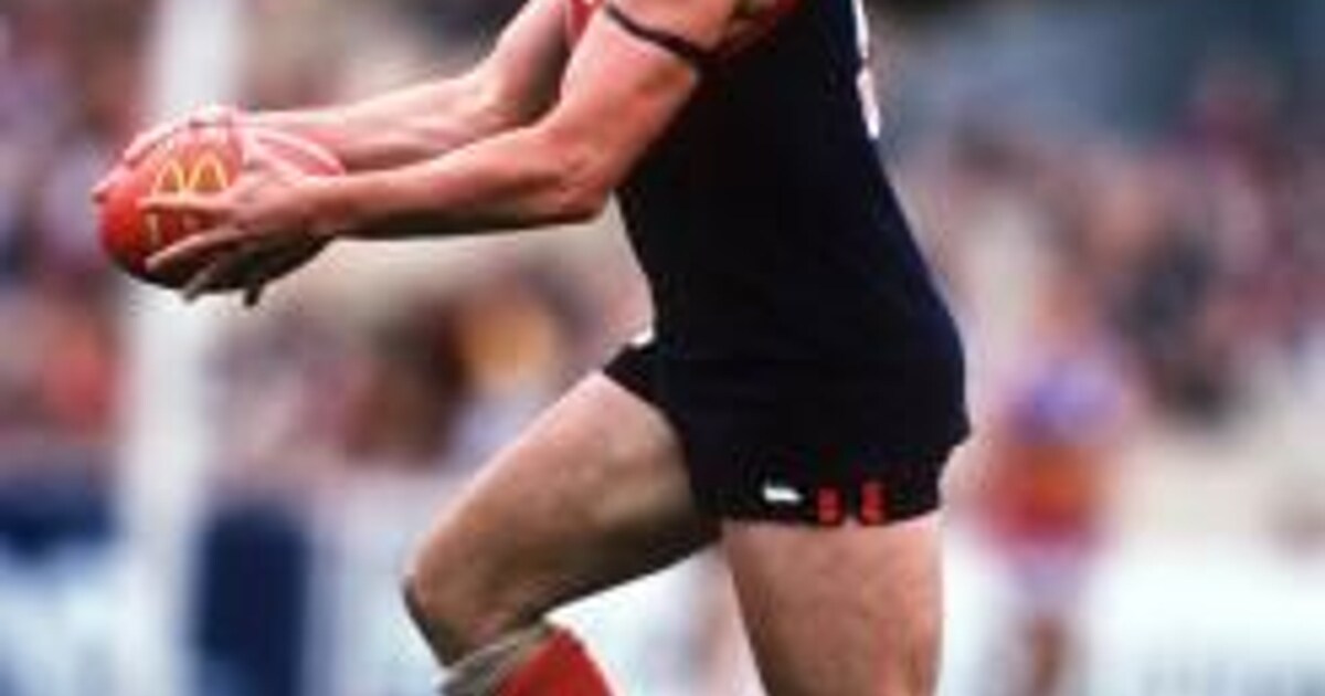 Todd Viney: a snapshot