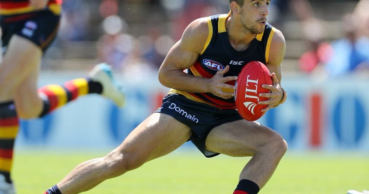 Nine-touch Jordan Gallucci impresses Crows coach
