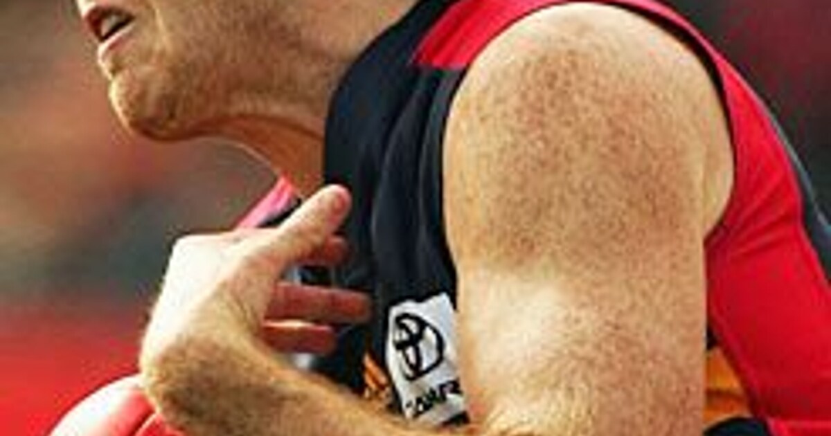 Craig backs Crows duo to make a flying return