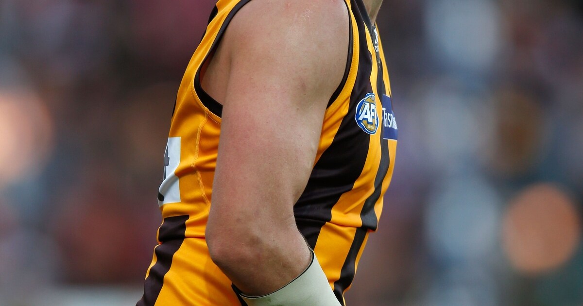 Hawk skipper Hodge set for round 14 return