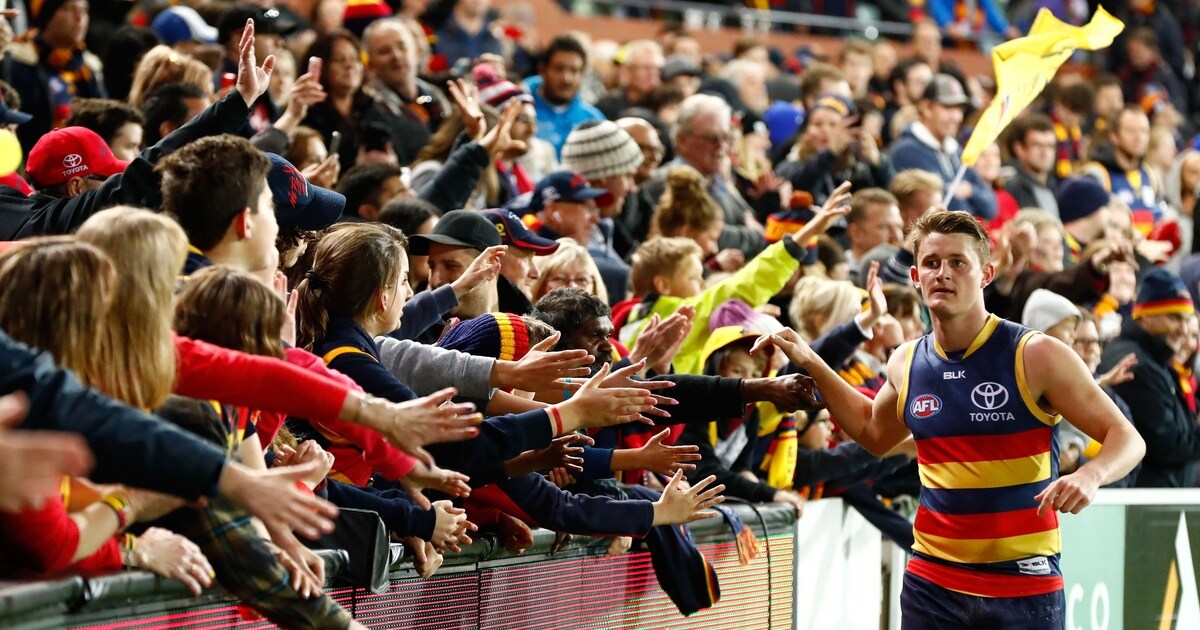 How the fans saw it: Adelaide v North Melbourne