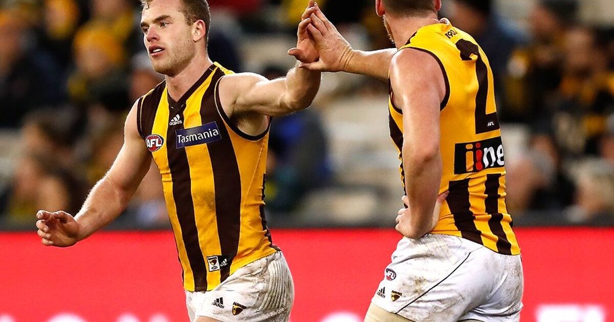 Season review: Hawthorn