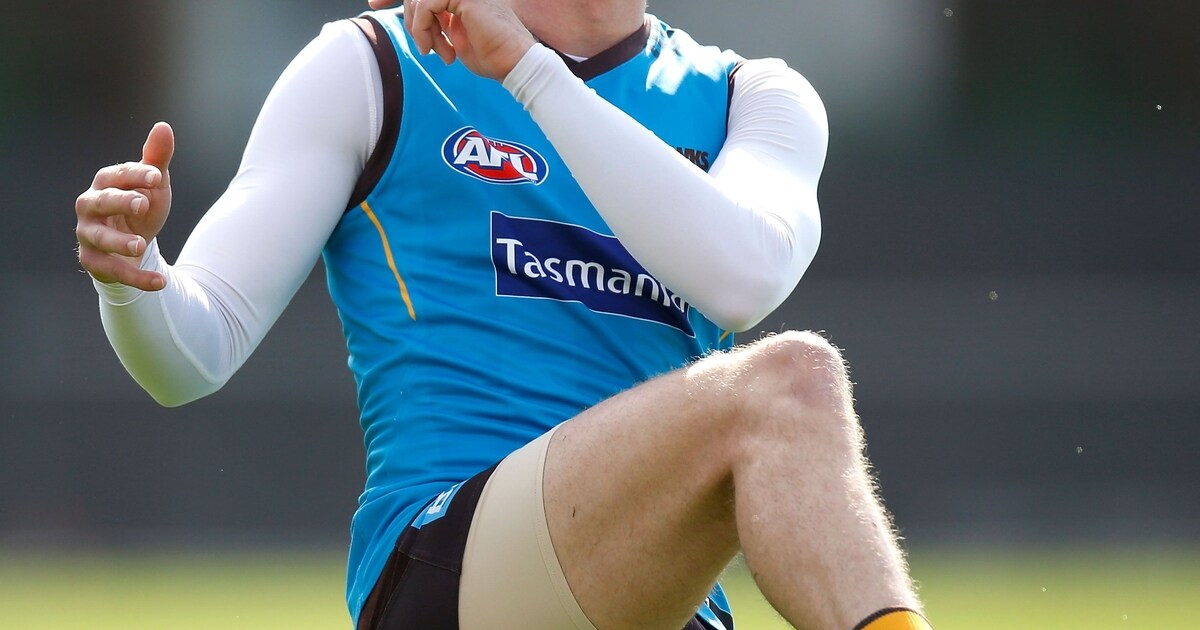 Breust's remarkable journey from Swans reserves to Hawks