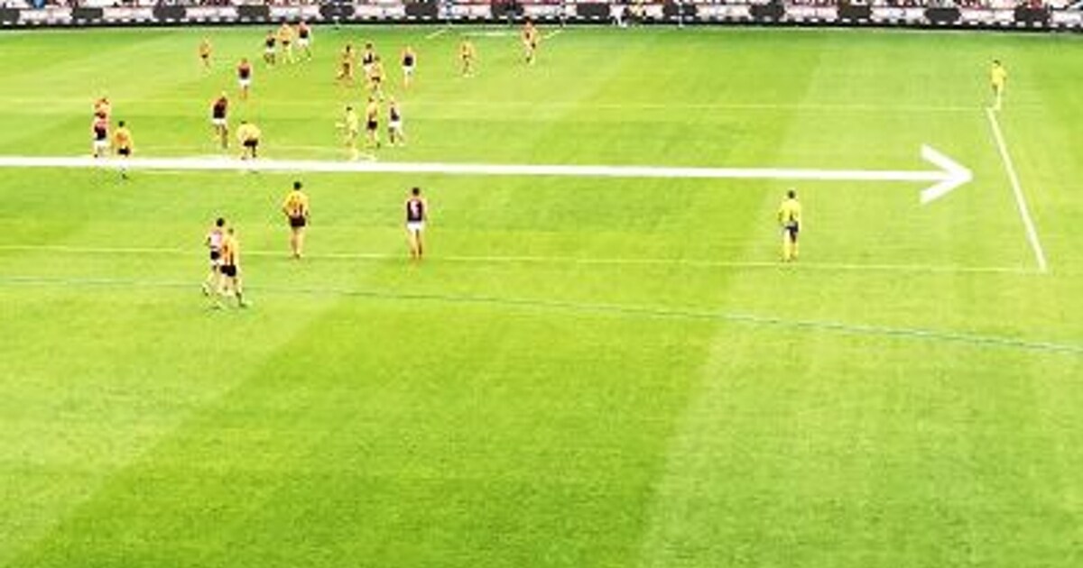 How wingless Hawks strangled the Dees