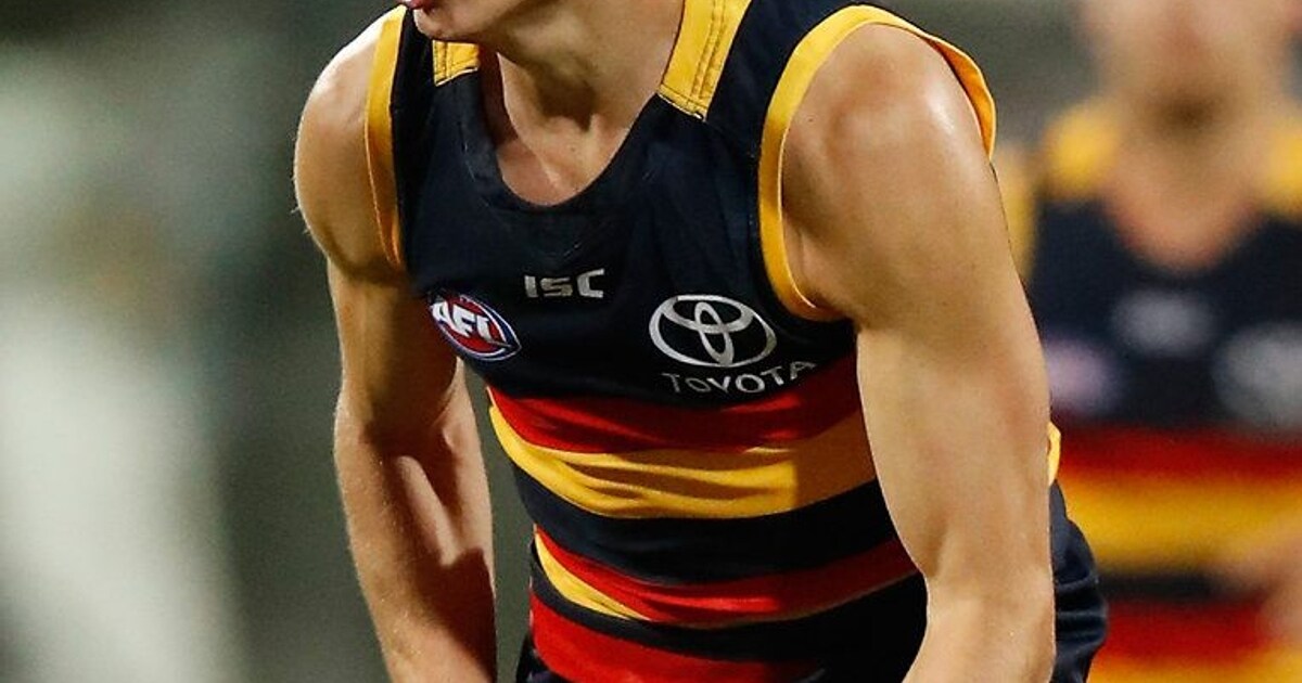 Crows embrace being 'the hunted': Kelly