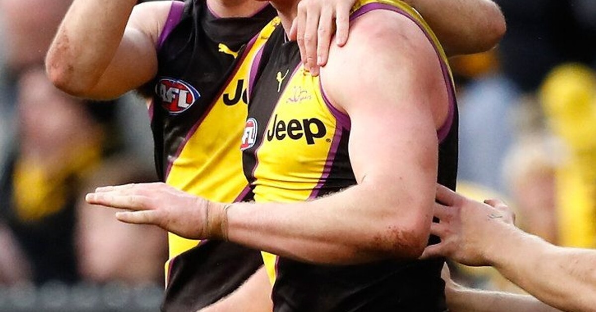 Red-hot Caddy ready for the Cattery