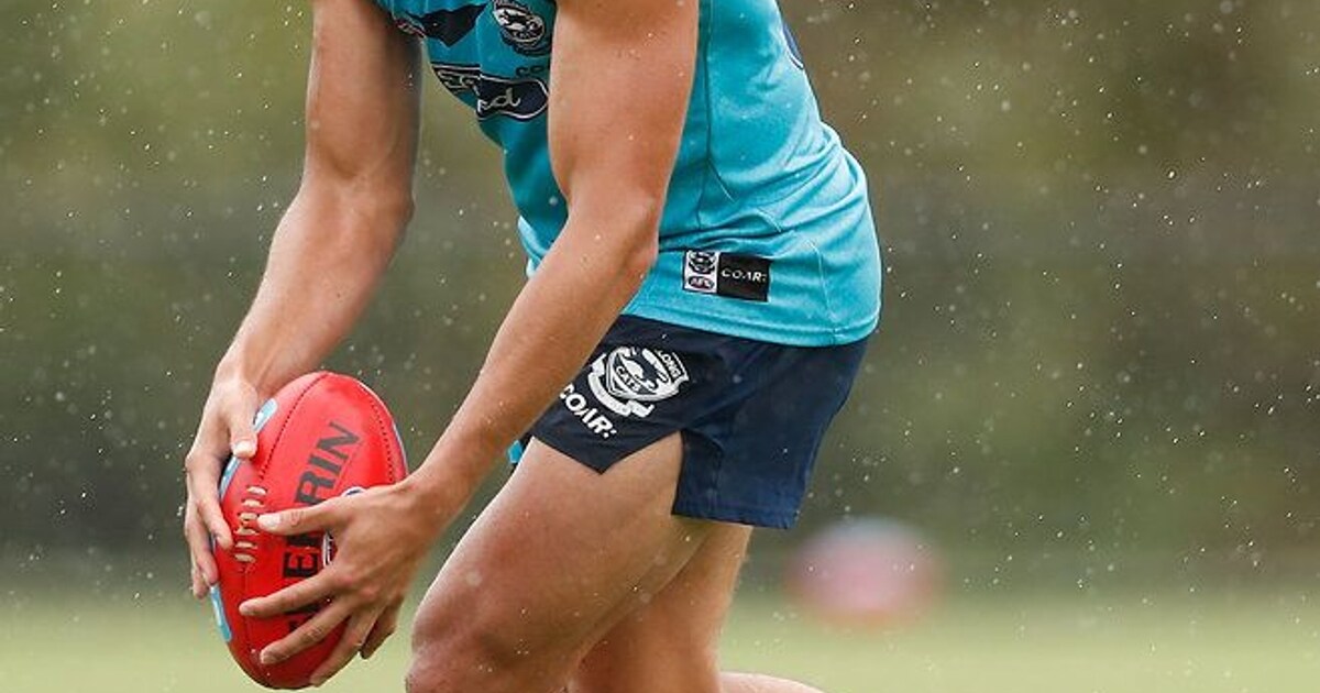 Cockatoo a contender as Cats seek help for star mids