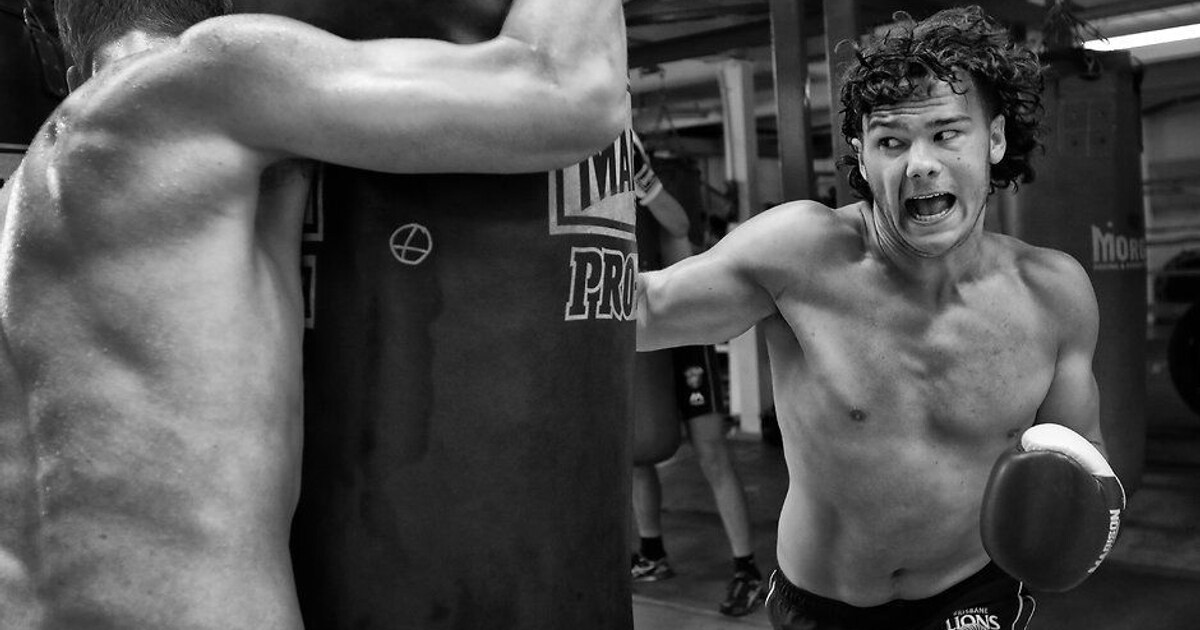 Boxing Lions: Amazing photos from Michael Willson
