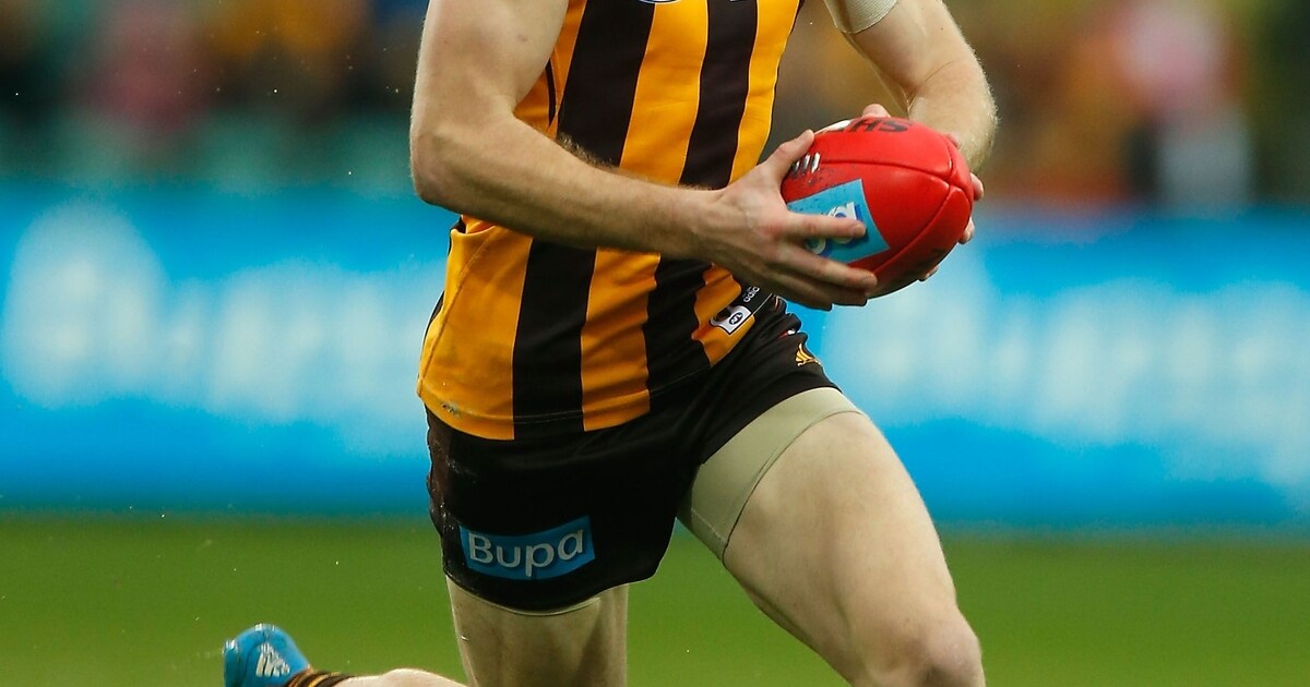 Shiels relishes chance to captain Hawks
