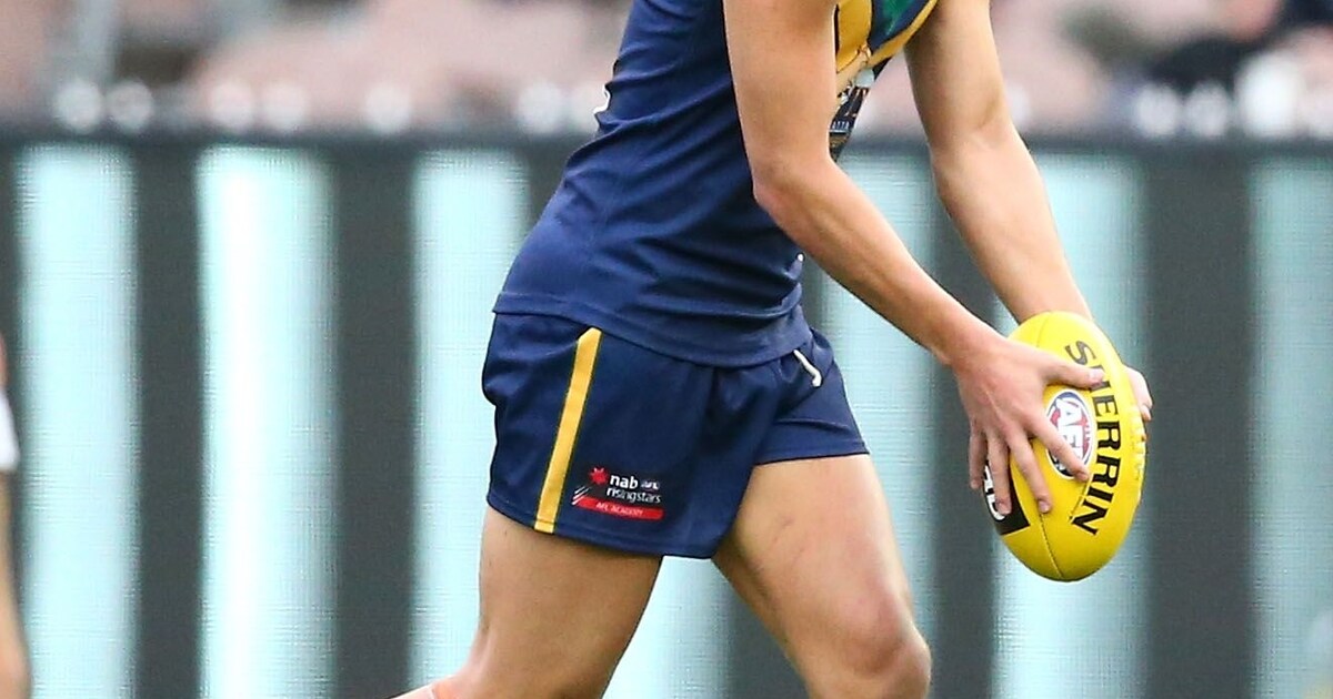 Brandon Parfitt impresses in NT's big win over Tasmania