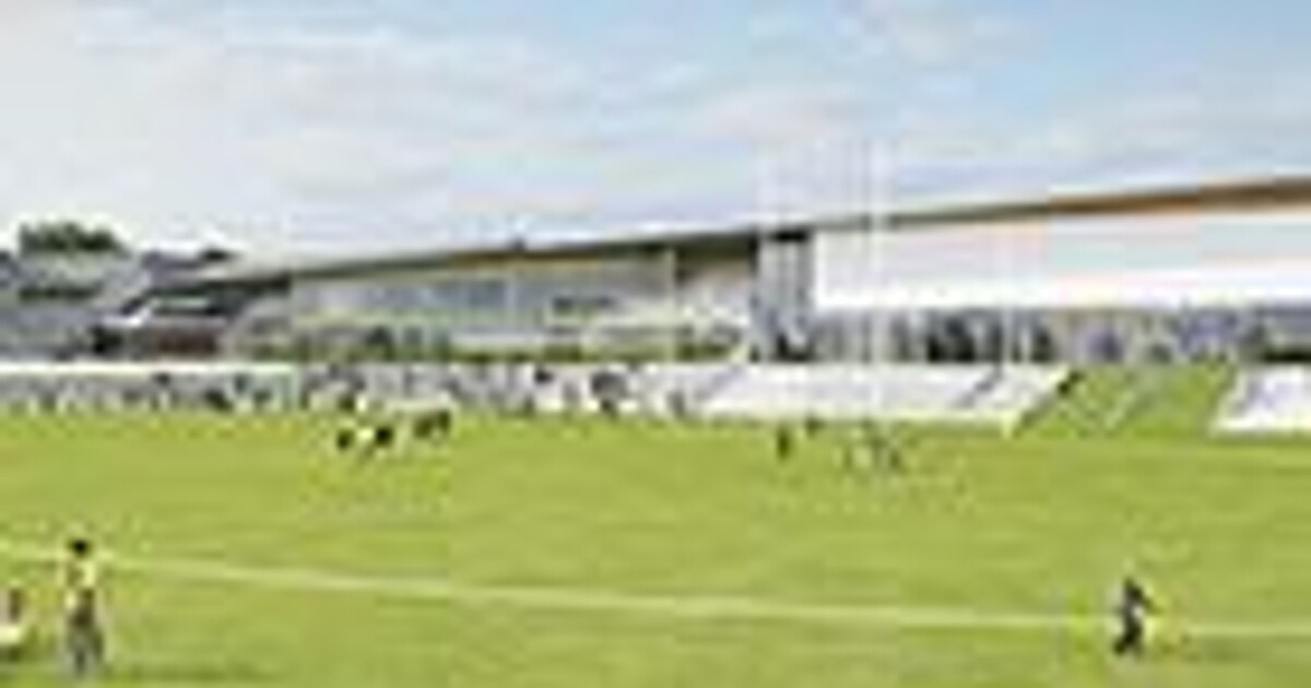 Hawks confirm Dingley land purchase as president elected