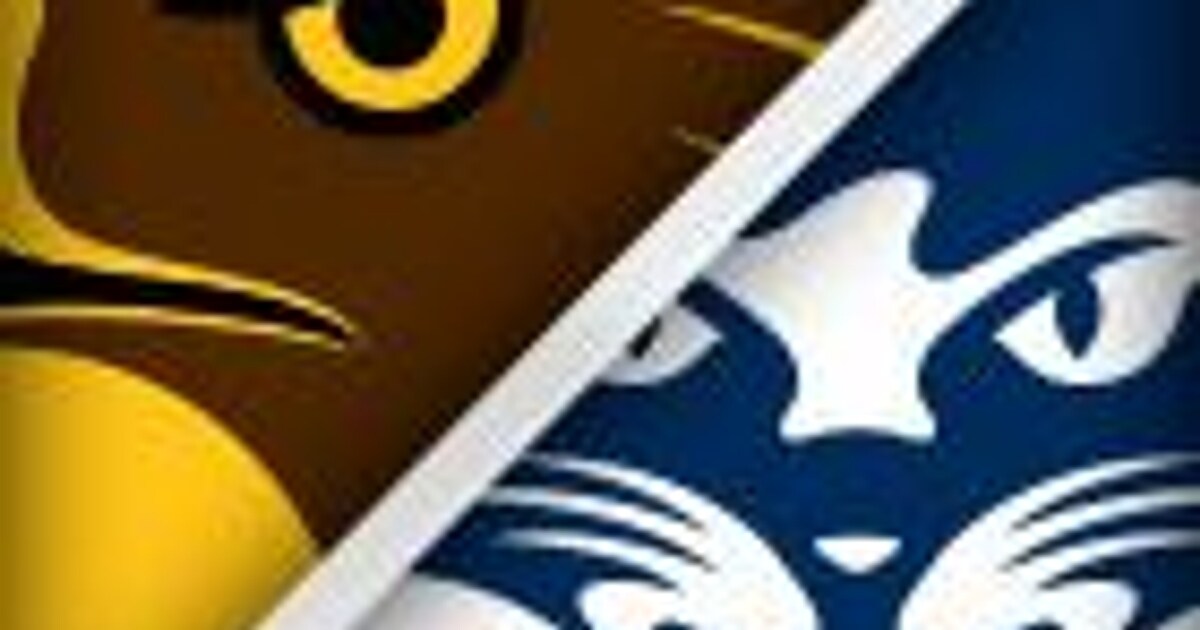 Match preview: Hawks v Cats