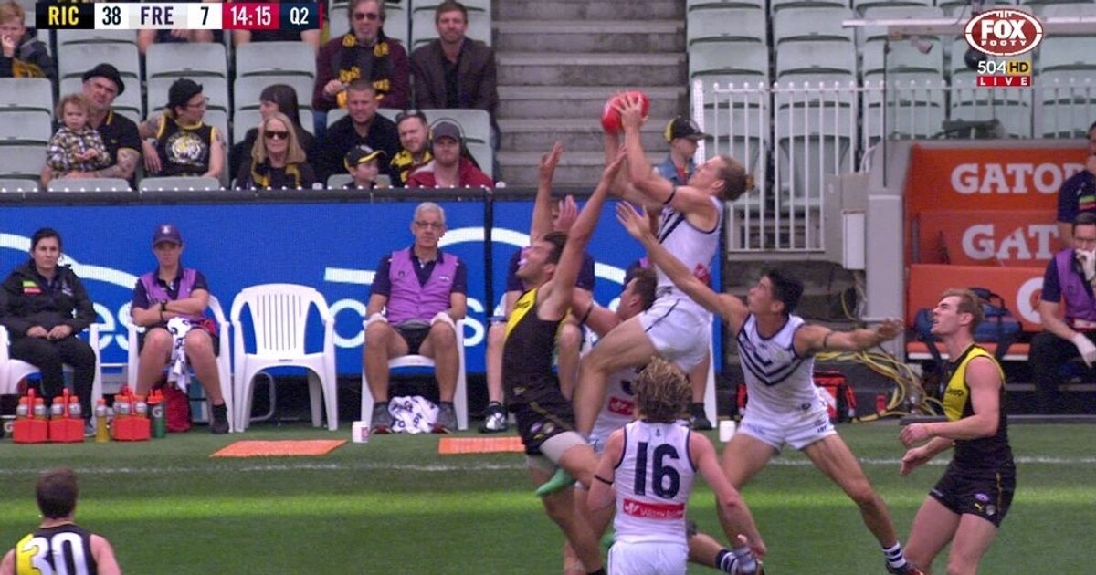 Fyfe's classic fly on the MCG wing