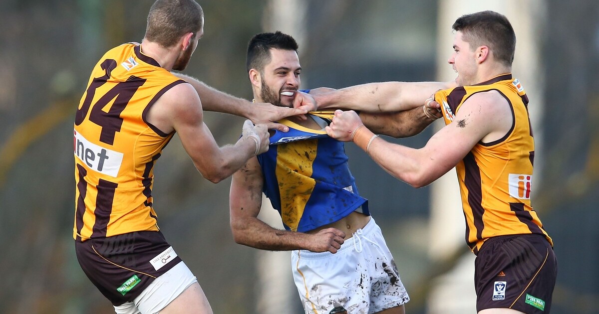 Seagull, Daisy take the plaudits in VFL