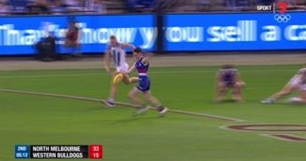 Dog snatcher pounces and scores