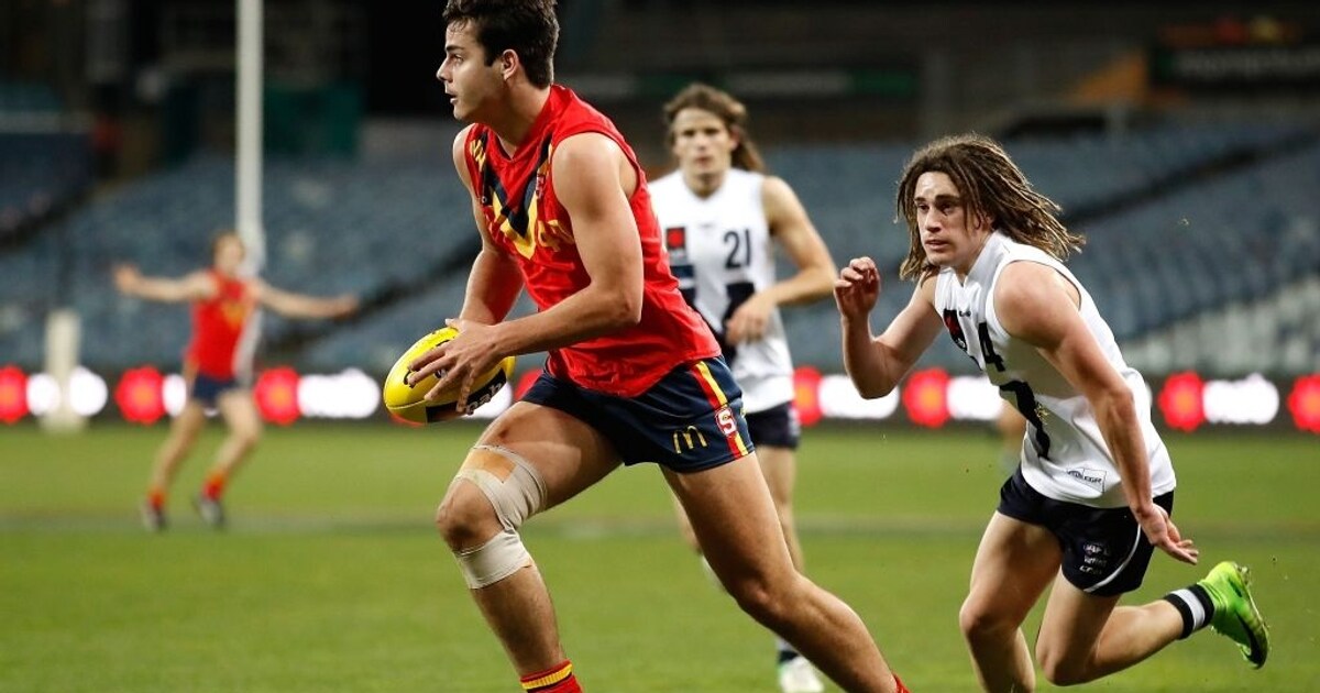 Draft prospect: Darcy Fogarty