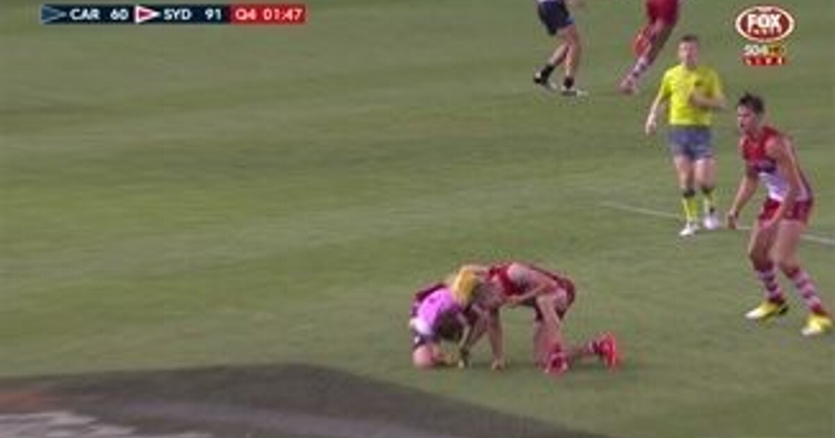 Swan's comical mishap