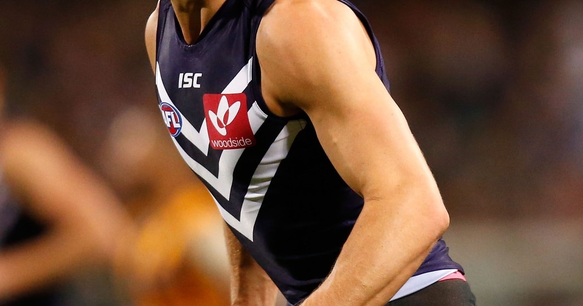Brownlow cheat sheet for 2015's night of nights
