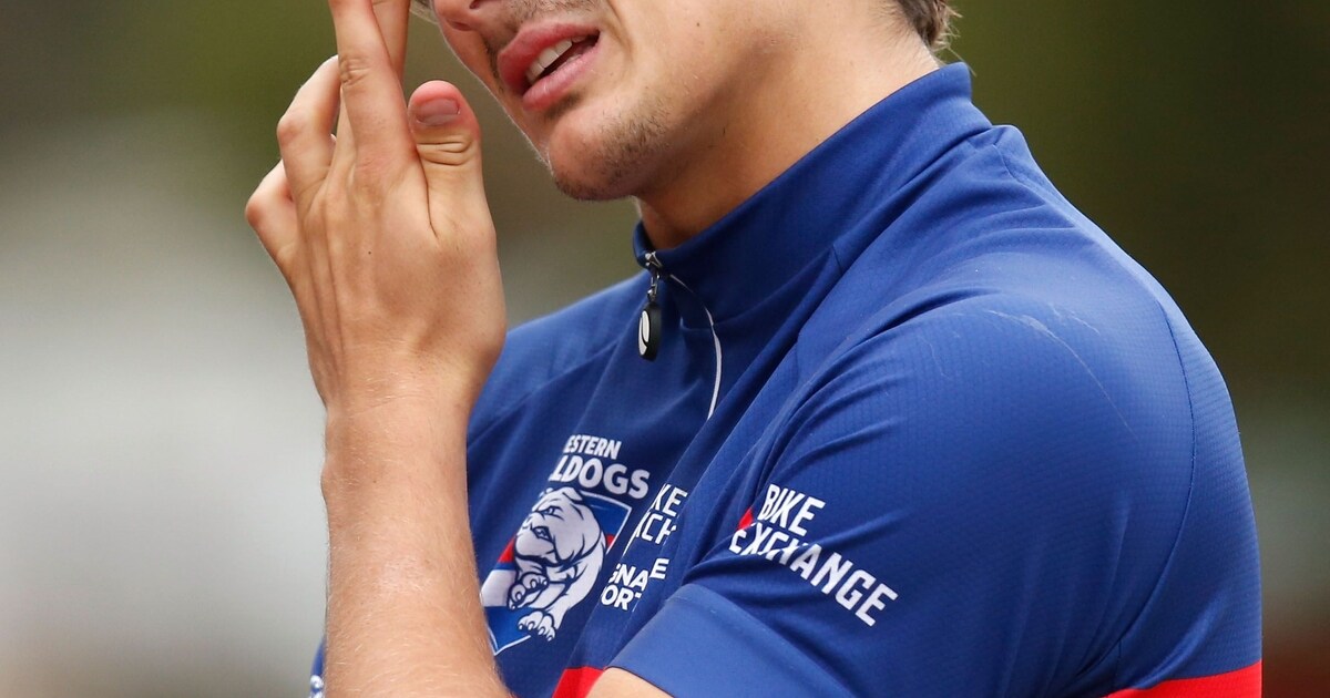 Boyd just another 'long-term' Dog, says Beveridge