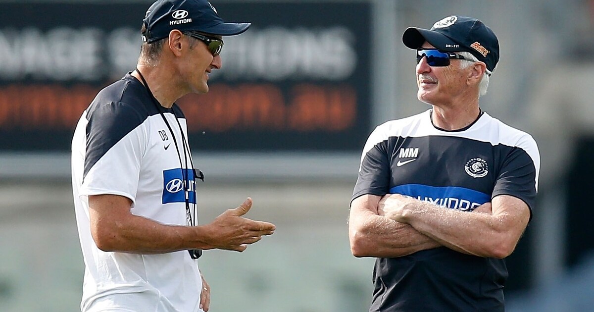 Mick back in harness