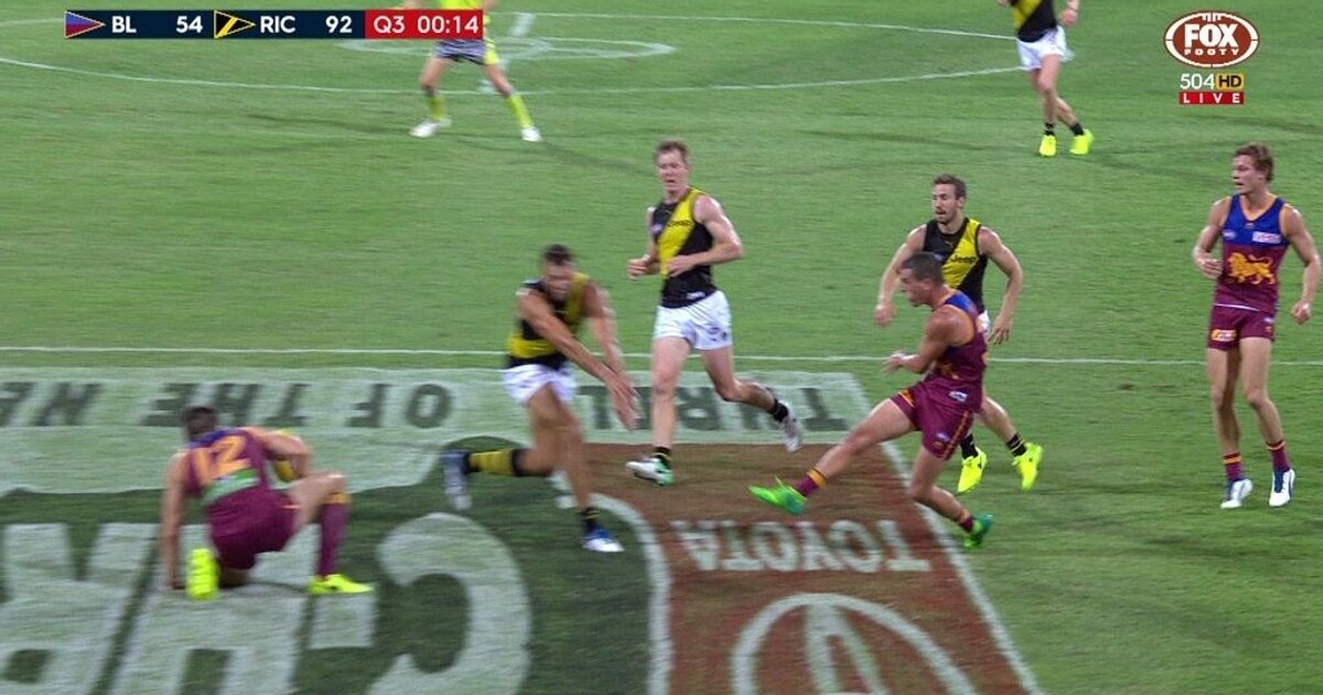 Friendly fire on this ferocious falcon