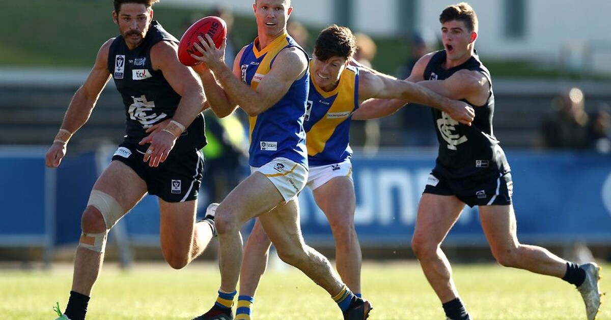 Jolley returns to Seagulls