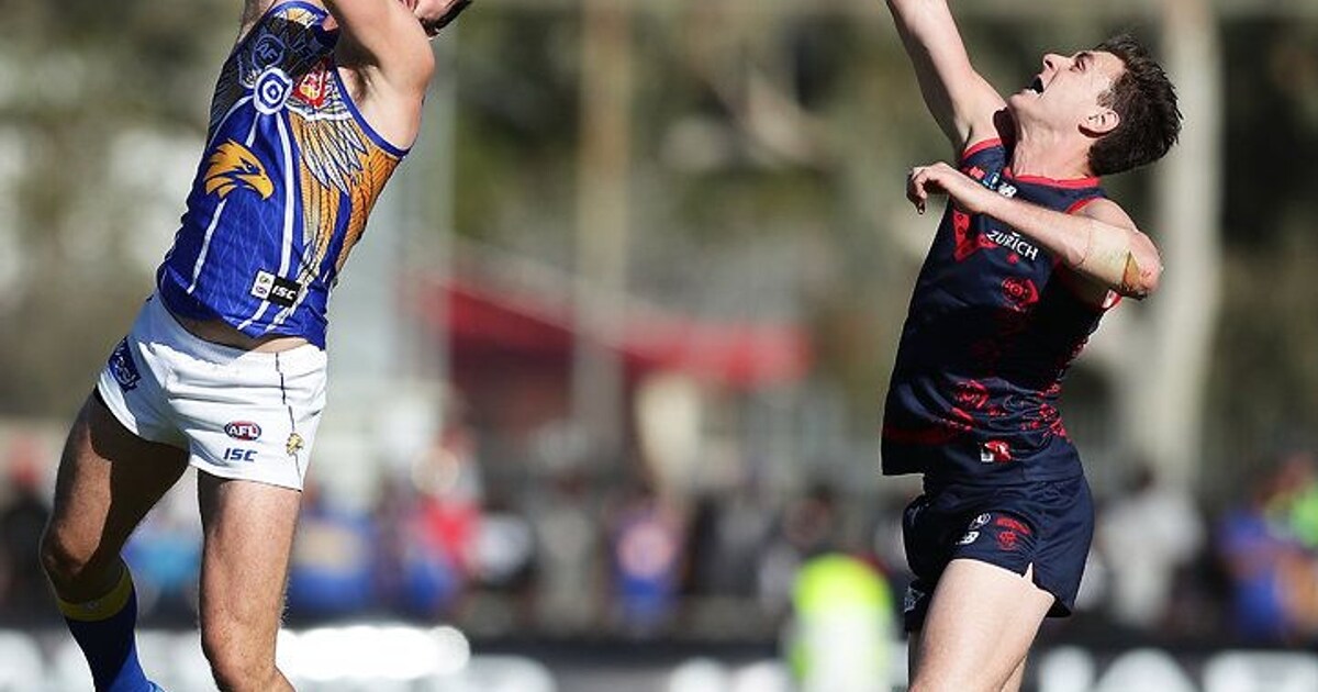 Official AFL Photo Galleries - AFL.com.au