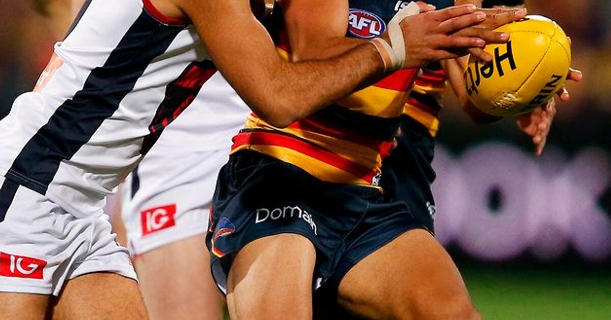 Official AFL Photo Galleries - AFL.com.au