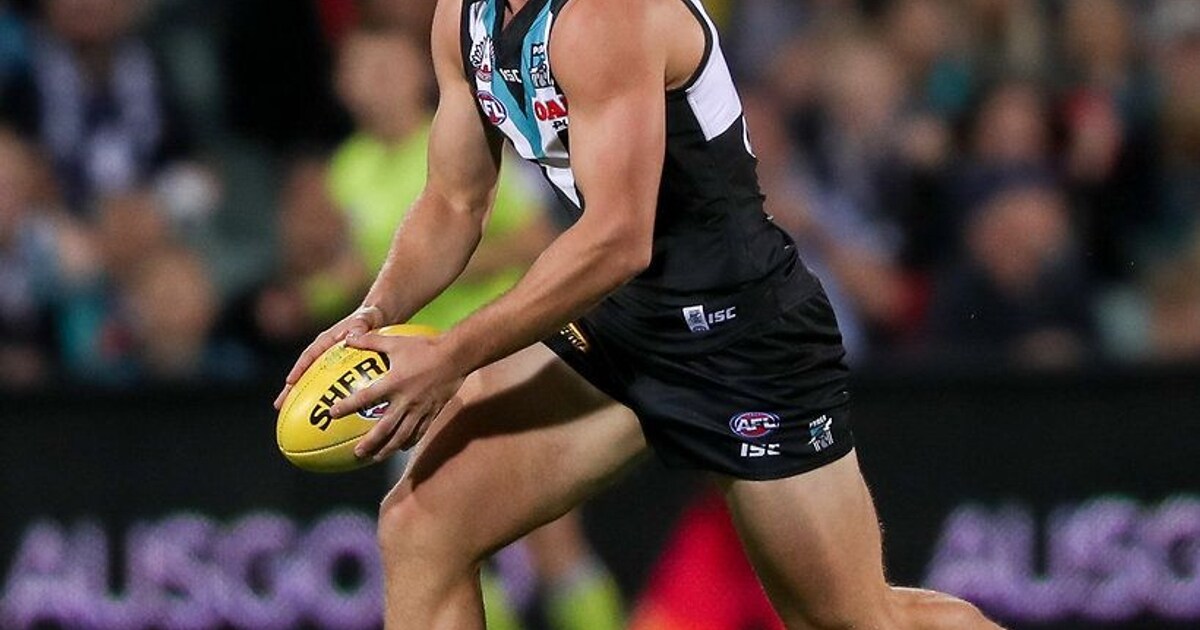 Official AFL Photo Galleries - AFL.com.au