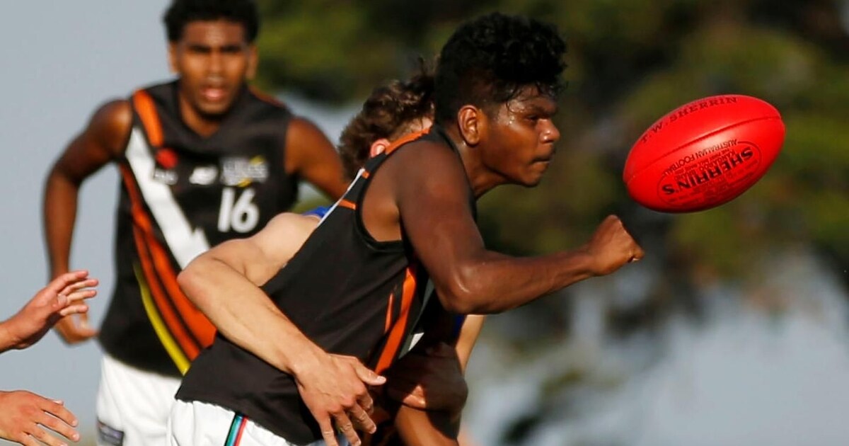 Tigers 'keeping an eye' on father-son Rioli