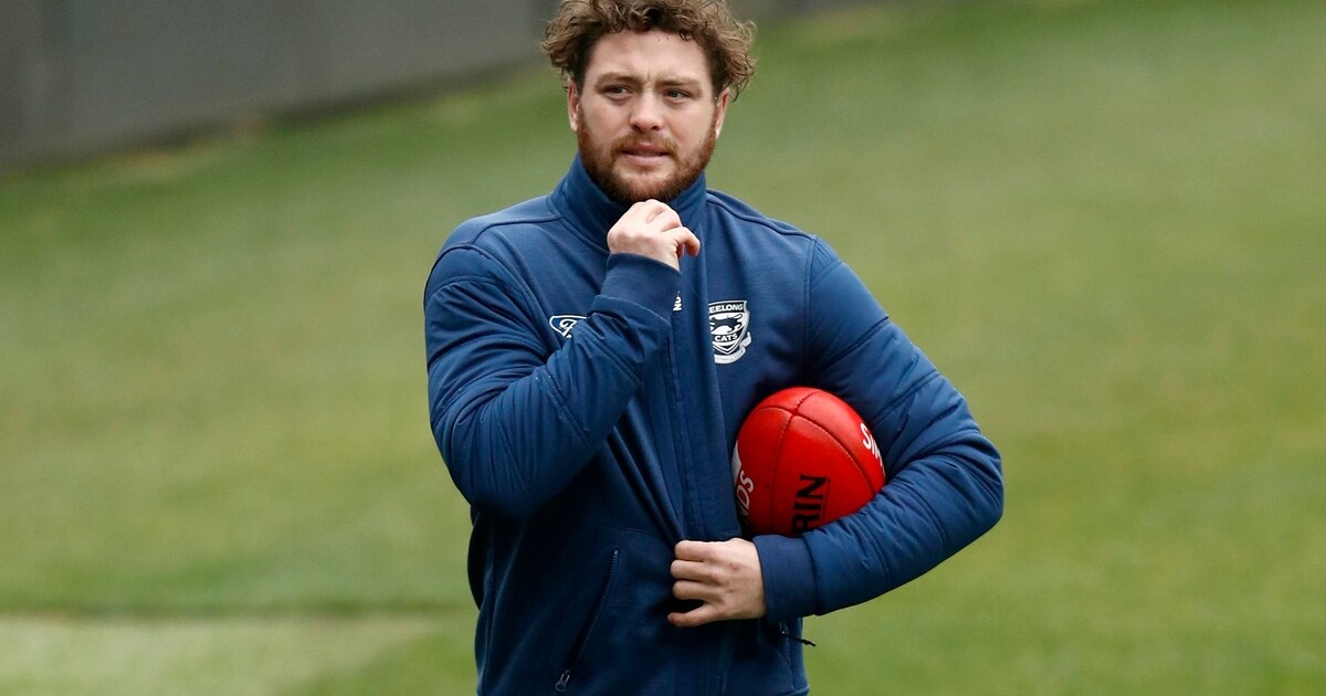 UPDATE: Police probe ongoing as AFL clears Cat over stabbing incident