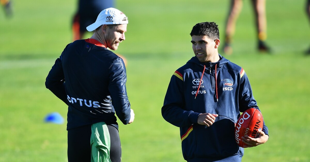 Bryce Gibbs call coming: Out-of-favour veteran can still help Crows ...