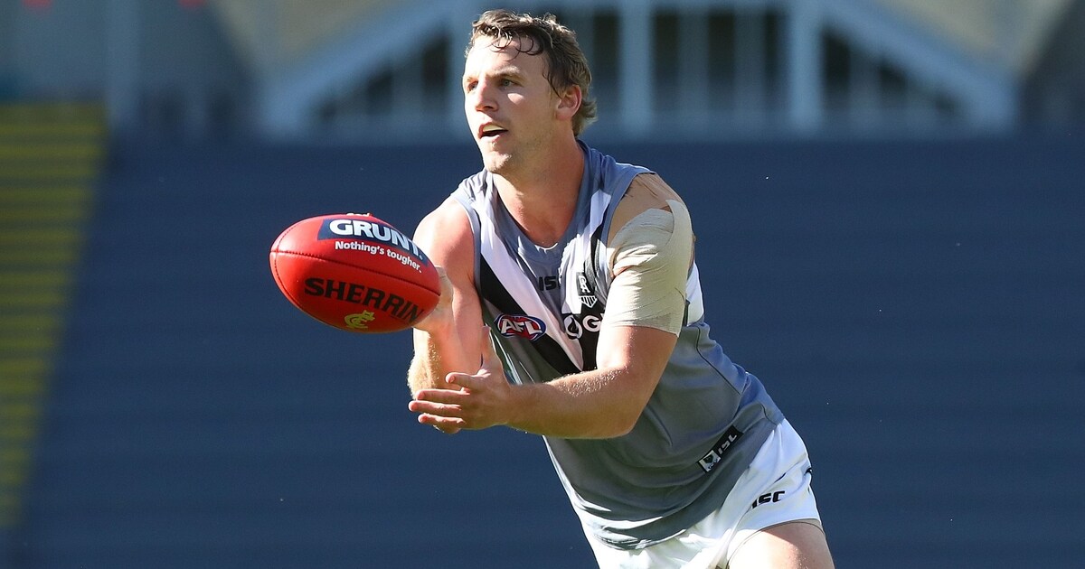 Cannon v Tomahawk? Ken Hinkley backs Trent McKenzie for footy's ...