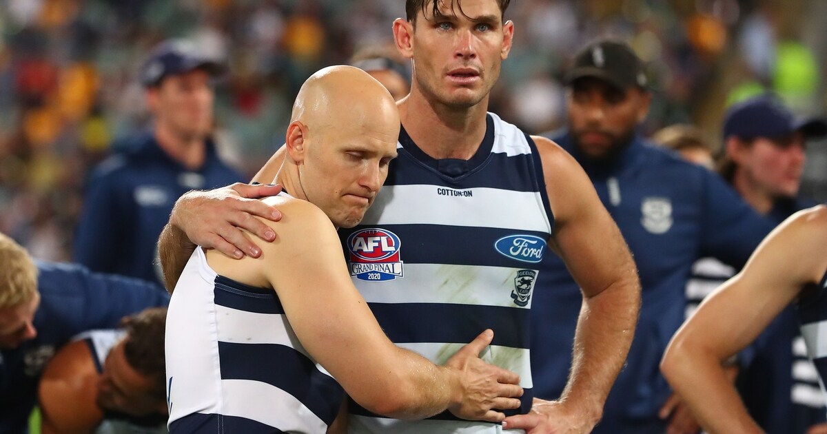 Cats Player Ratings: Did age play a factor as old stars faded?