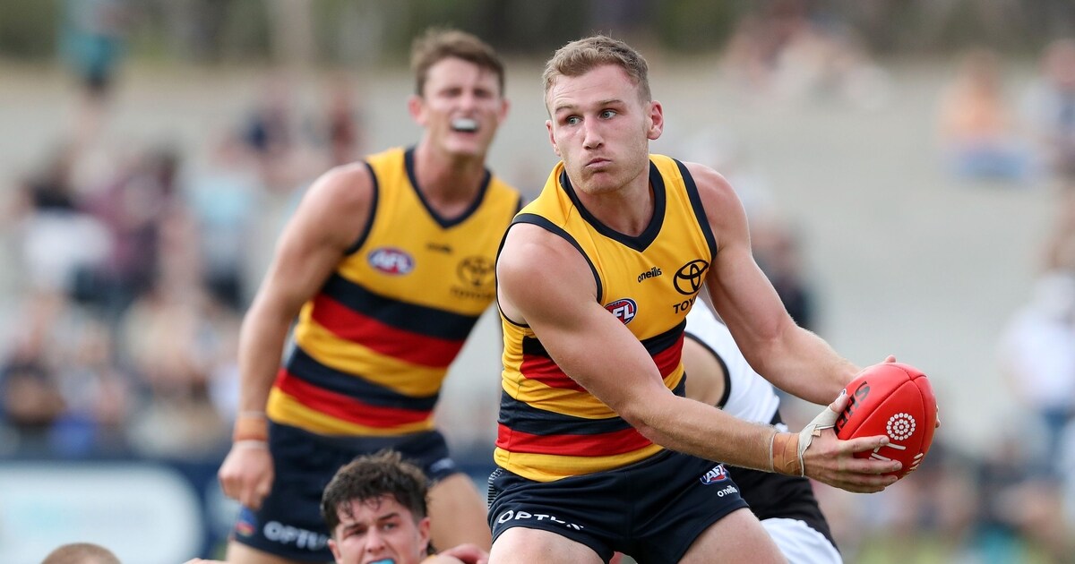 Adelaide best and fairest: Rory Laird wins Malcolm Blight Medal