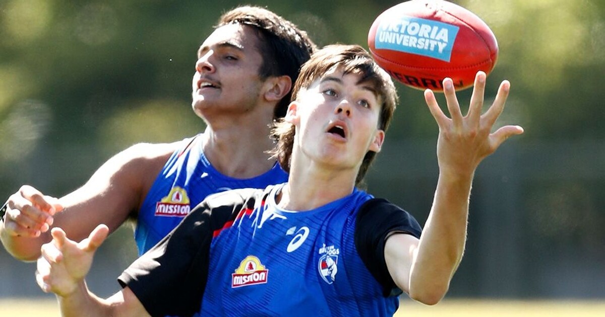 Another father-son Dog rising, Sam Darcy enters top-20 calculations