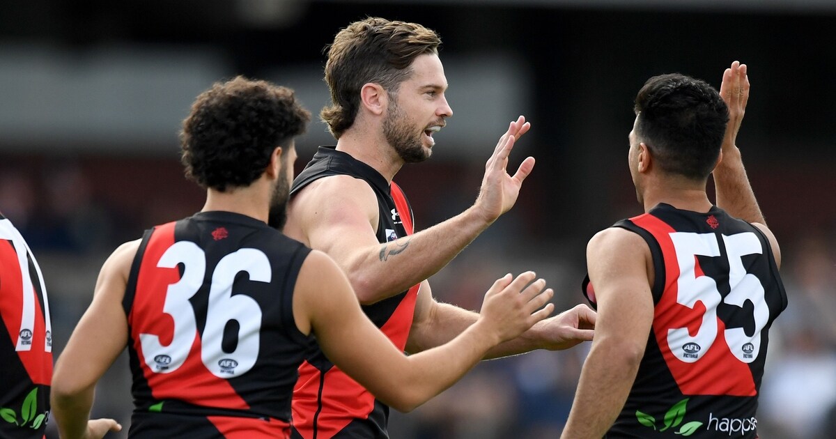 Bombers' Patrick Ambrose retires: Injuries get the better of Essendon ...