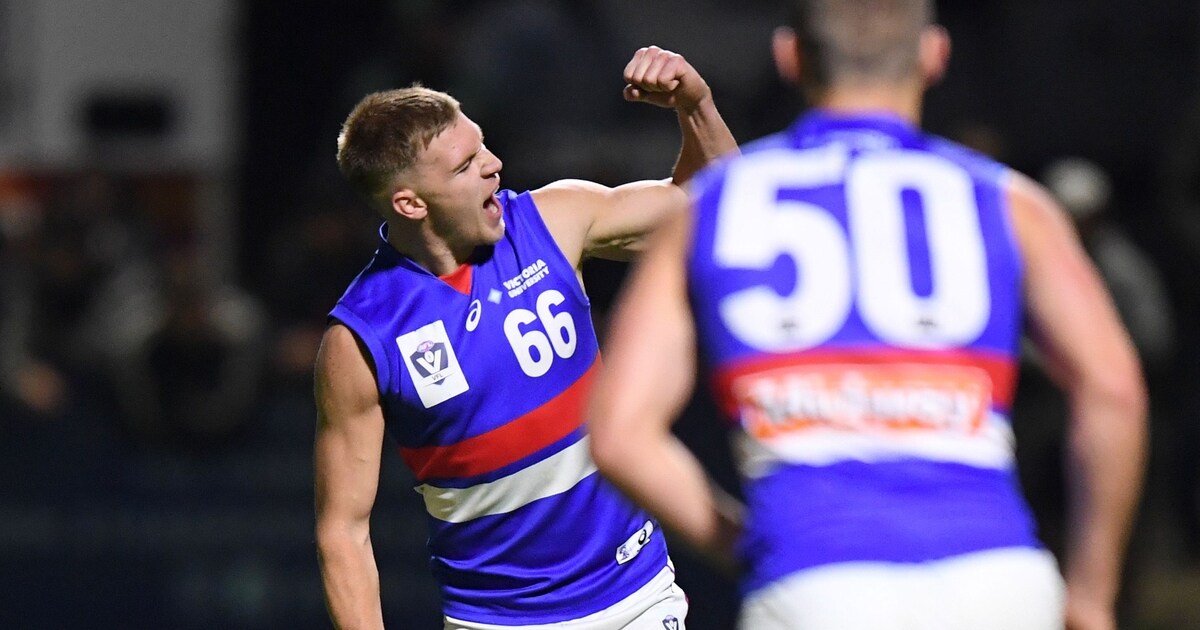 VFL players of round six: Big Roo goes wild, flag Tiger stakes a claim