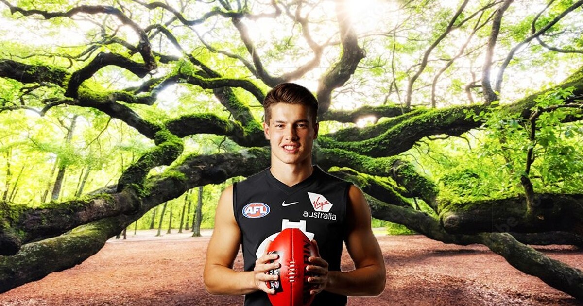 THE LIAM STOCKER FAMILY TREE: 32 players, 18 trades, all from ONE ...