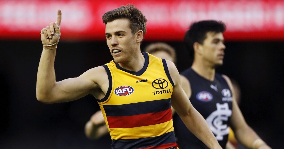 Adelaide Crows wingman Paul Seedsman forced to retire due to concussion ...